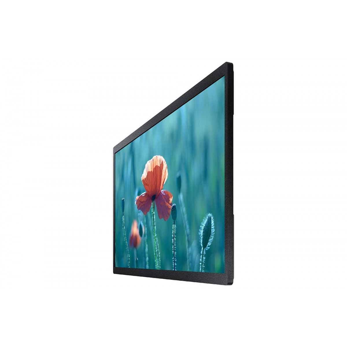 SAMSUNG 24 FHD Smart Signage Standalone Display - SAMSUNG - Brand Products