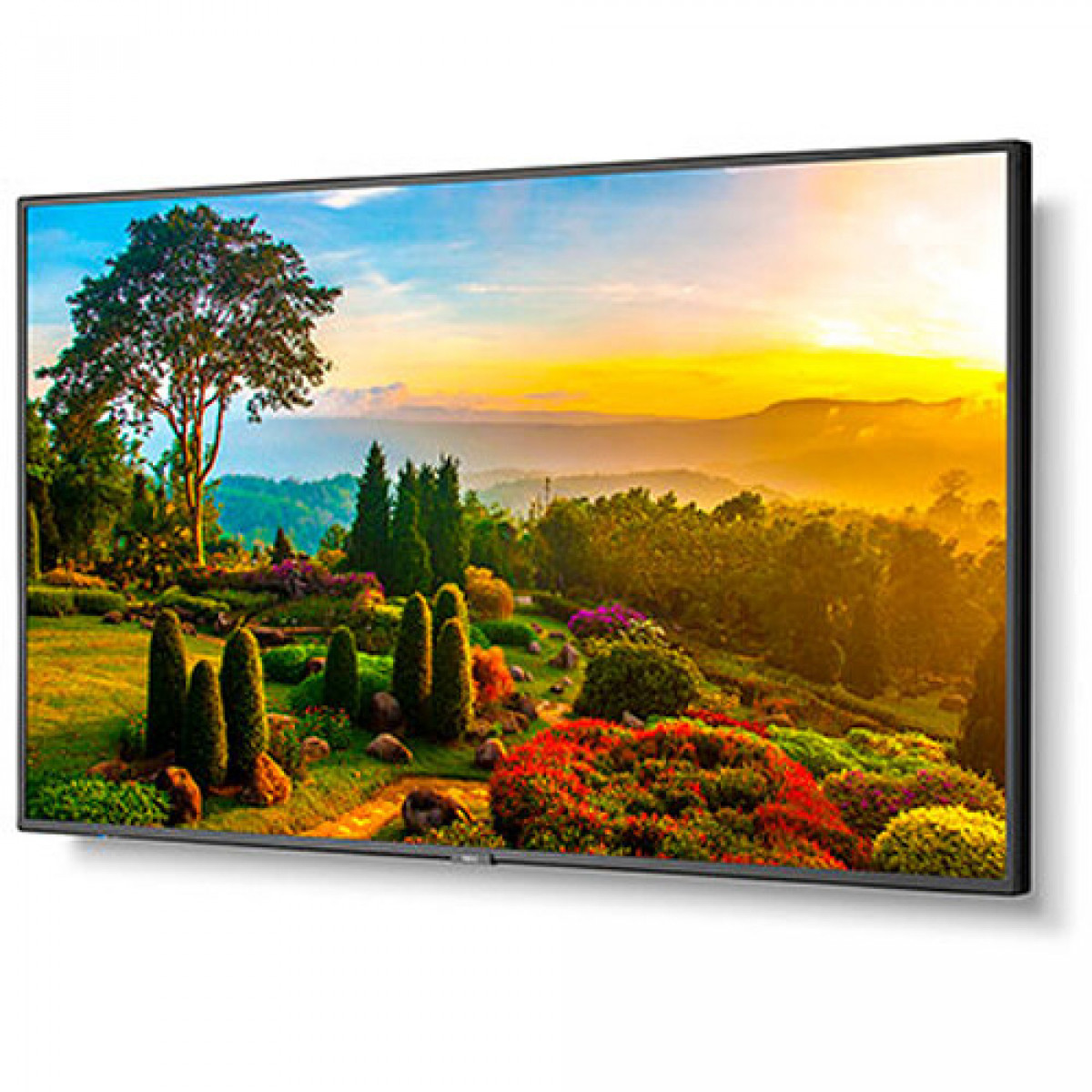 NEC 55'' FHD C Series Commercial Display - Commercial Displays - Categories