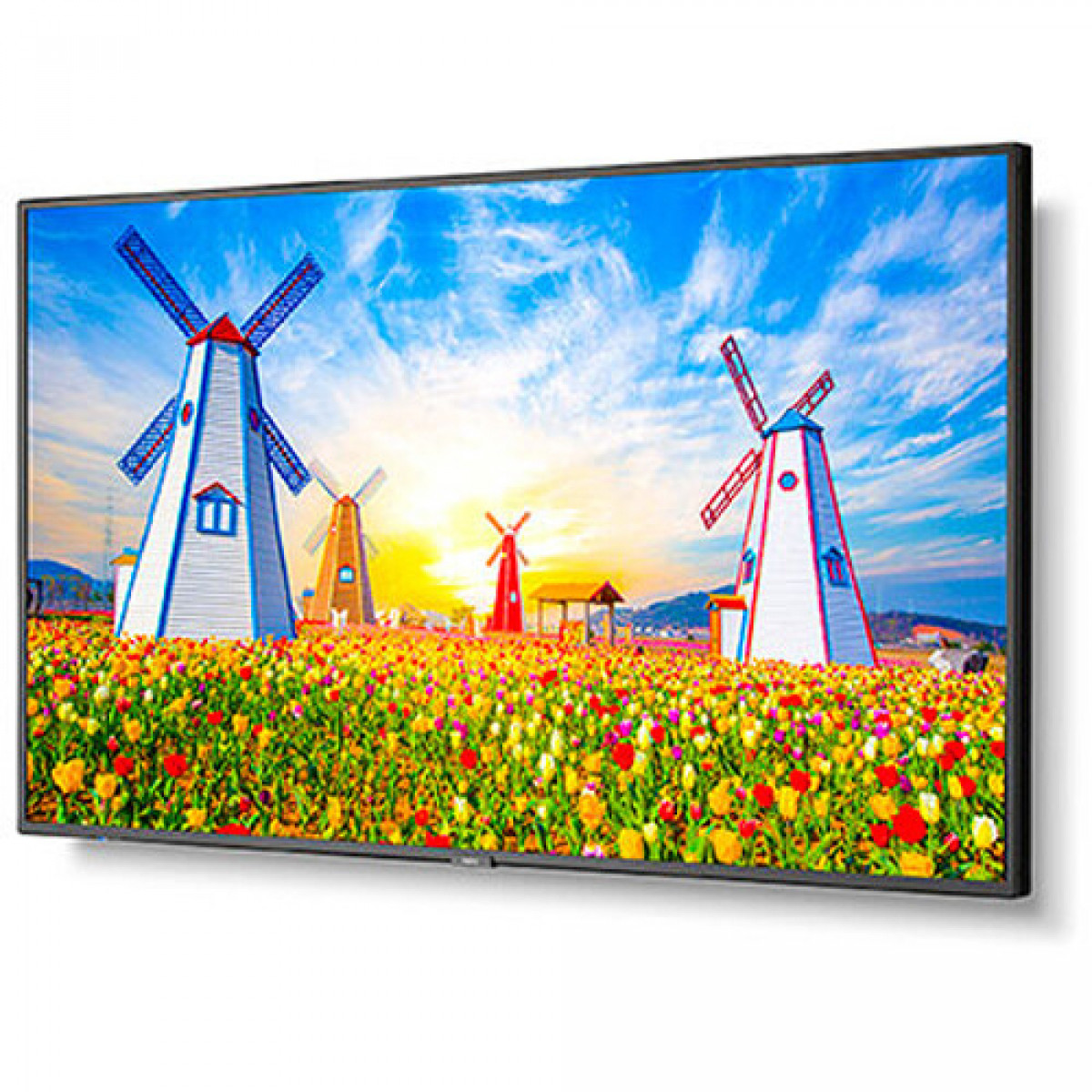 NEC 65'' Series Commercial Display