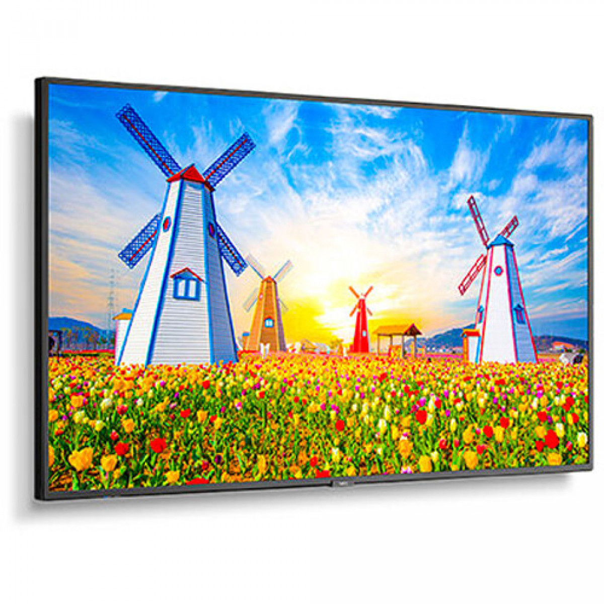 NEC 65'' Series Commercial Display