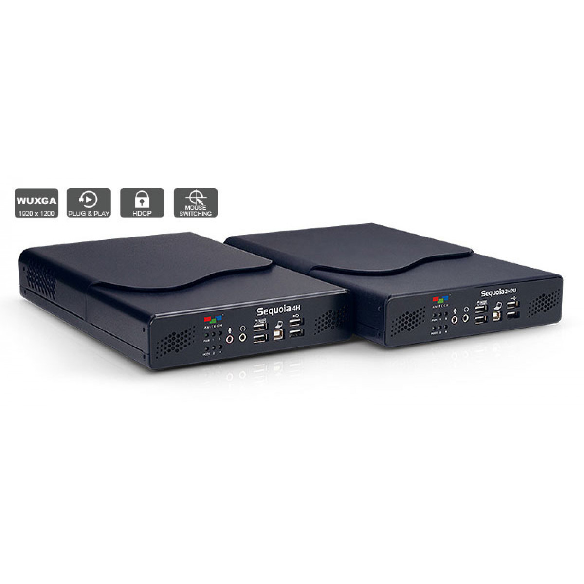 AVITECH Sequoia Solo-Module with 2 HDMI and 2 Video Inputs - AVITECH - Brand Products